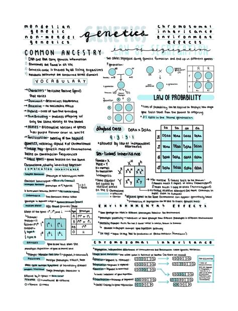 Ap Biology Unit 5 Review Notes Etsy Biology Units Nursing School