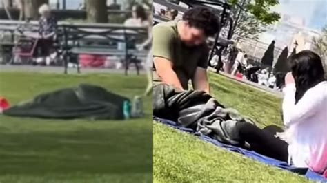 Sex In Public Park নিউইয়র্ক পার্কে কম্বলের নিচে প্রেমে লিপ্ত এক জুটি পাবলিক প্লেসে যৌন মিলনের