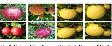 Figure 5 From Improved Fruit Detection By Image Processing Using Deep