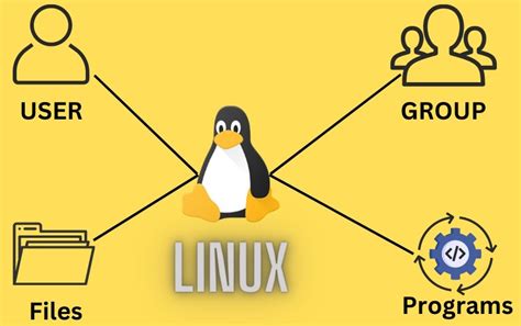 What Is Linux User Management Mastery