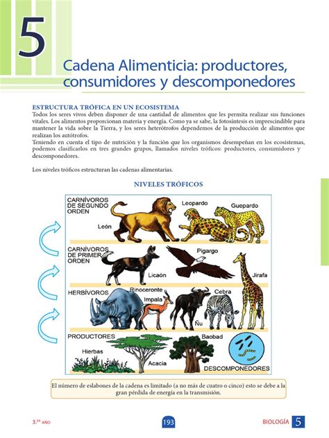 Cadena Alimenticia Productores Consumidores Y Descomponedores Pdf