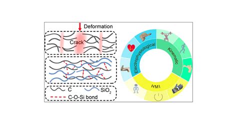 Conductive Cellulose Derived Carbon Nanofibrous Membranes With Superior