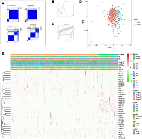 consensus clustering analysis of frgs in ccrcc a the heat maps show