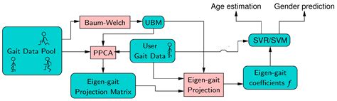 Sensors Free Full Text A Systematic Comparison Of Age And Gender