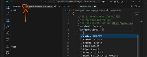 实验日志 Vs Code 连接服务器上的 Python 解释器进行远程调试 网硕互联帮助中心 实验日志 Vs Code 连接服务器上的 Python 解释器进行远程调试 网硕互联帮助中心