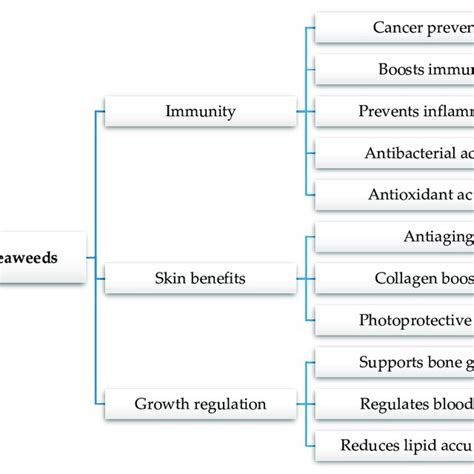 Health Effects Of Macroalgae On Human Health And Wellbeing Download Scientific Diagram