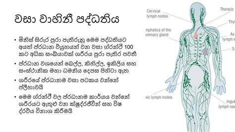 ප්‍රතිශක්තිය හා ප්‍රතිශක්තිකරණය Pptx