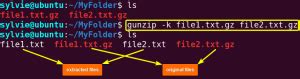 The Gunzip Command In Linux Practical Examples