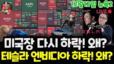 미국주식시황오늘 왜 떨어졌나 테슬라 엔비디아도 하락 왜 구글 애플 아마존 메타 마이크로소프트 팔란티어 아이온큐 Smci 델 브로드컴 인텔 Lly등 Tsla