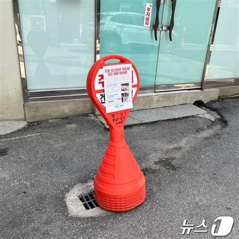 주차금지 라바콘은 불법적치물강릉 옥천동 민·관 합동 계도 뉴스1