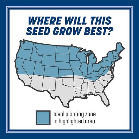 Smart Seed Kentucky Bluegrass Grass Seed Pennington