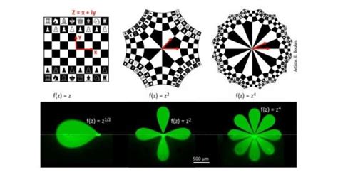 Tech New Automated Biological Sample Analysis Systems To Accelerate Disease Detection Report