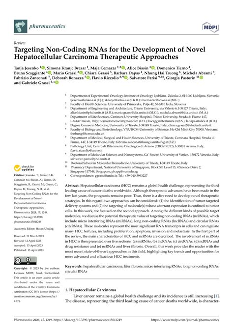 Pdf Targeting Non Coding Rnas For The Development Of Novel