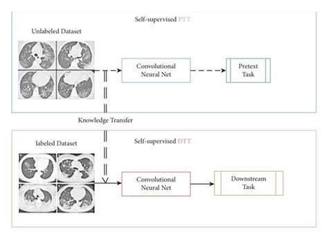 general self supervised learning pipeline ptt pretext task training download scientific