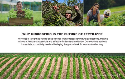 Microbebio Pioneering The Future Of Fertilizer With Microbial Technology Microbial Fertilizer