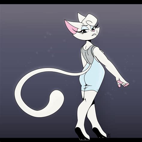 What Is More Important For Catgirl Rcatgirlsfw