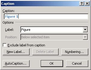 Word References Captions