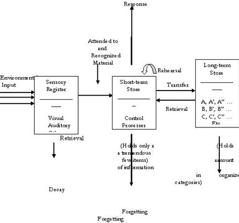 Events And Lecture Notes Sensation Attention And Perception