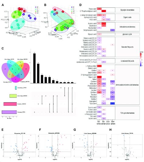 Principal Component Analysis PCA Of Metabolite Patterns In A
