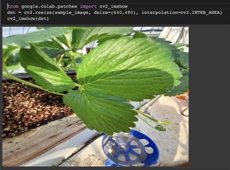 Opencv Preprocessing 1 Resize Type Convert Color