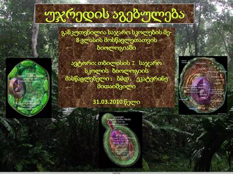 უჯრედის აგებულება Pptx