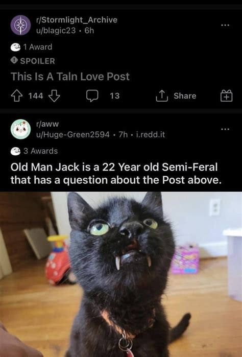 Jerma Answers The Question Why Are You So Short R Jerma985