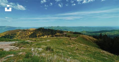 나무와 언덕을 배경으로 한 풀이 무성한 언덕 사진 Unsplash의 무료 자연 이미지