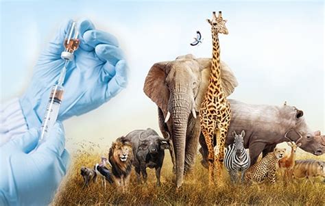 Transmissible Vaccines Esco Healthcare