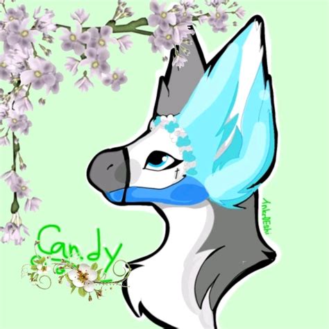 🦄 Candyfurry кендя Tiktok