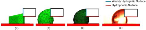 screenshot of the simulation process by surface evolver a initial