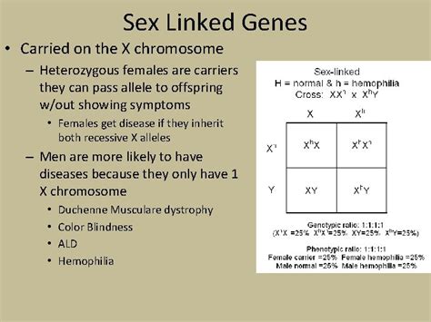 The Chromosomal Basis Of Inheritance Ap Biology Chapter