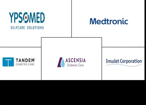 인슐린 펌프 연구 보고서 및 시장 산업 분석