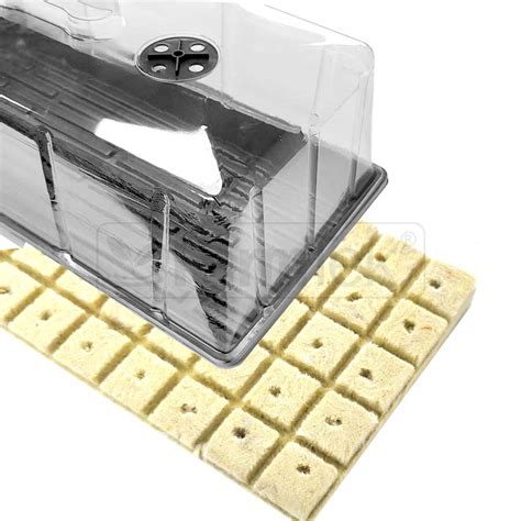Propagation Kit Hydroponics Melbourne