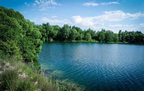 Де на Землі міститься солона а де прісна вода Тест з предмету Я у світі «На Урок