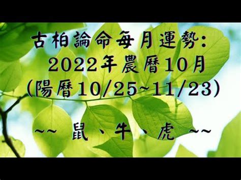 古柏論命每月運勢2022年農曆10月 陽曆10 25 11 23 生肖運勢分享 鼠牛虎 終於加好字幕了