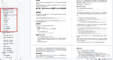 Flutter开发指南动态化 知乎