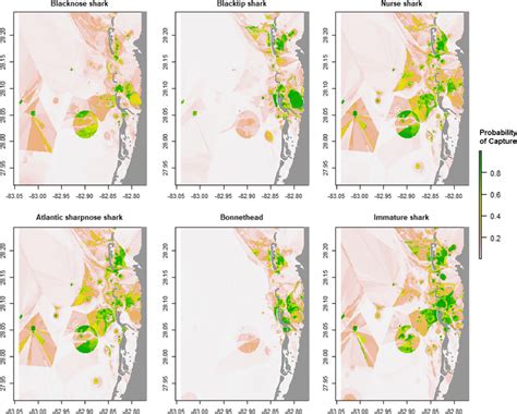 species distribution models derived from boosted regression trees