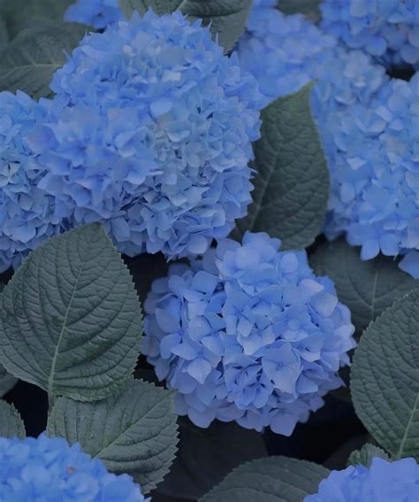 蓝色壁纸素材 堆糖，美图壁纸兴趣社区