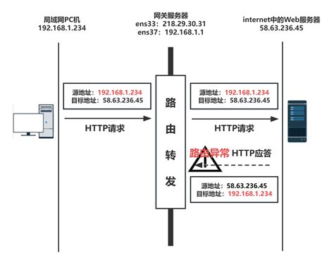 Shell Snat，dnat使用snat方式共享上网时 局域网主机需要指定路由转发 Csdn博客