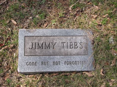 Jimmy Tibbs Find A Grave Memorial