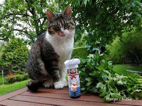 Bartolini Bartłomiej Herbu Zielona Pietruszka Margo I Nitka