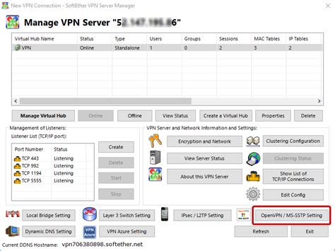 usage guidelines oracle 9 with softether vpn server virtual pulse s