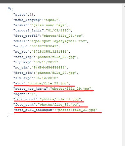 How To Set Message GetPhoto To Null Issue Php Telegram Bot Core GitHub