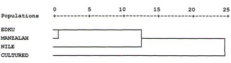 Dendrogram Using Average Linkage Between Groups Of Different Nile Download Scientific Diagram