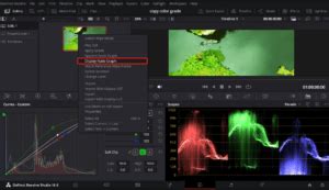 How To Copy Color Grade In Davinci Resolve Step By Step Hollyland