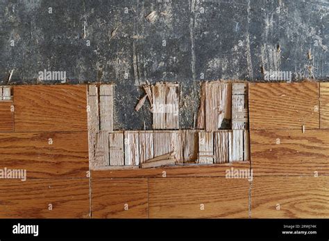 A View Of Partially Removed Hardwood That Had Been Glued To A Concrete Floor Stock Photo Alamy