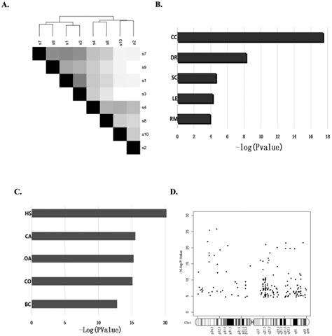 A Samples From The Hbv Positive And Ctnnb1 Mutation Positive Cb Download Scientific Diagram