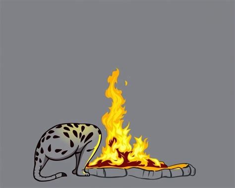 Devasa Büyüklükteki 8 Köpek Cinsi Köpek Türleri