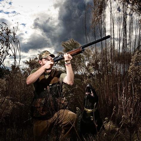 ნადირობა Hunting