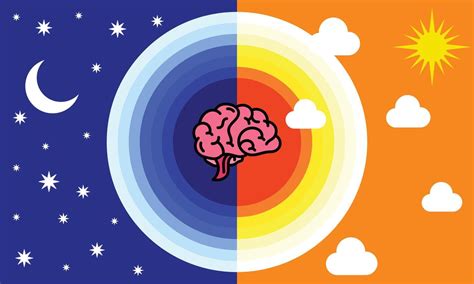 Illustration Design Circadian Rhythms And Sleep Wake Cycles How Exposure To Sunlight Regulates